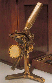 Sabbatini, R.M.E.: Neurons and Synapses: The History